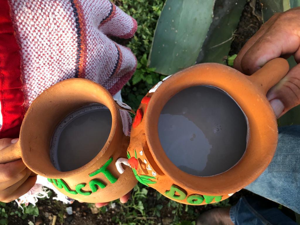 Pulqueando en Boyé: Un festival lleno de tradición y cultura - AlertaQro