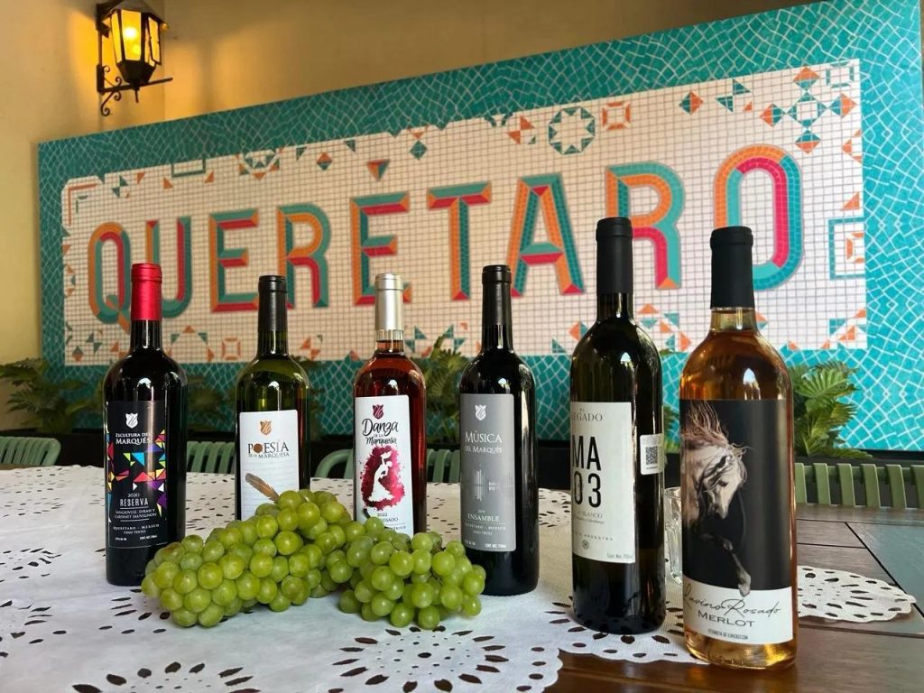 ¿Por qué el vino de Querétaro es tan especial? - AlertaQro
