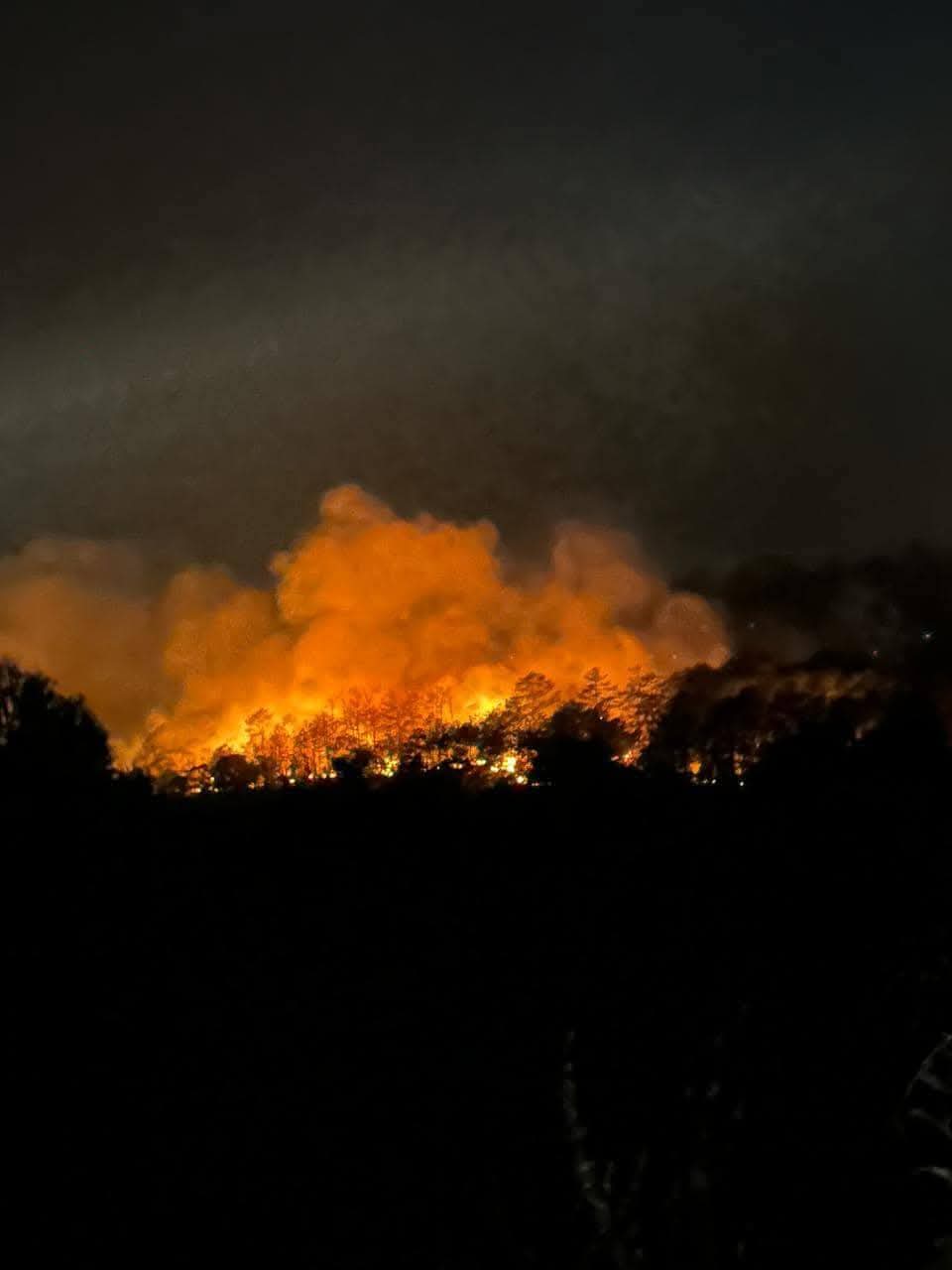 Fuerte incendio forestal en El Madroño, Landa de Matamoros - AlertaQro