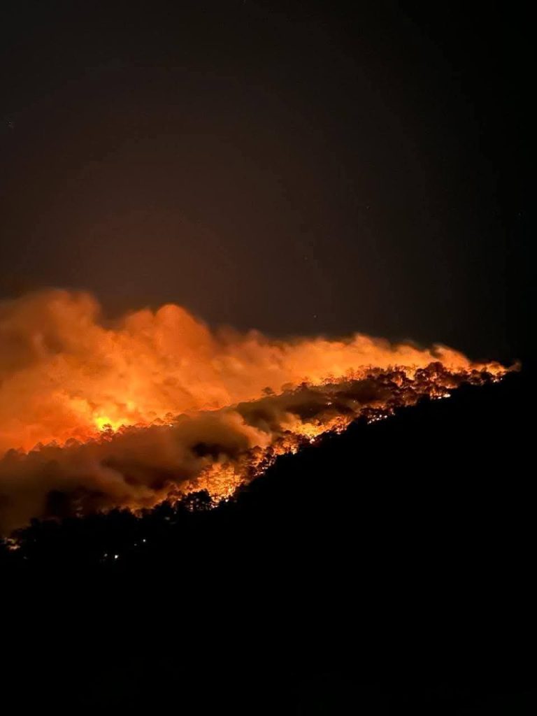 Fuerte incendio forestal en El Madroño, Landa de Matamoros - AlertaQro