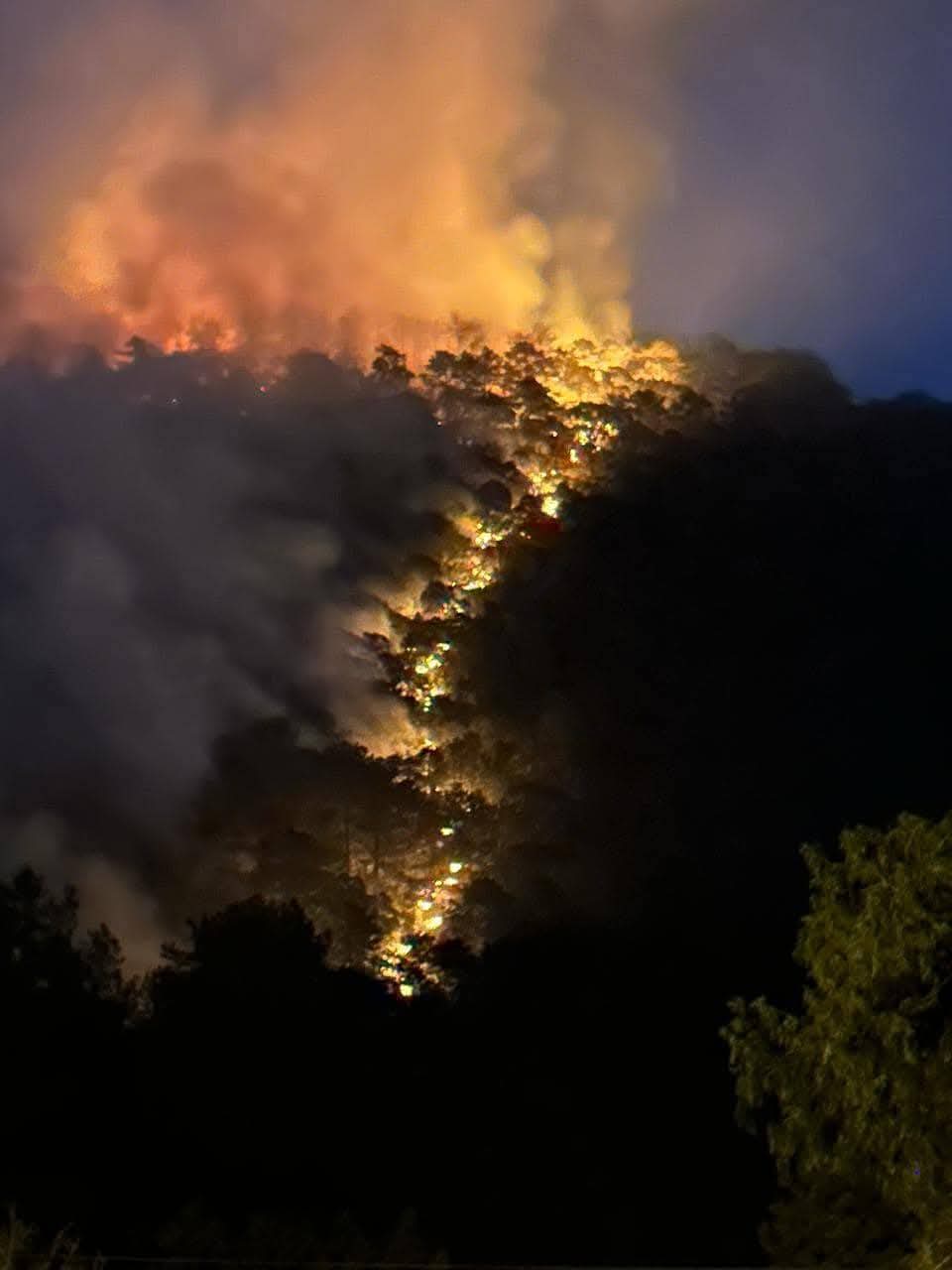 Fuerte incendio forestal en El Madroño, Landa de Matamoros - AlertaQro