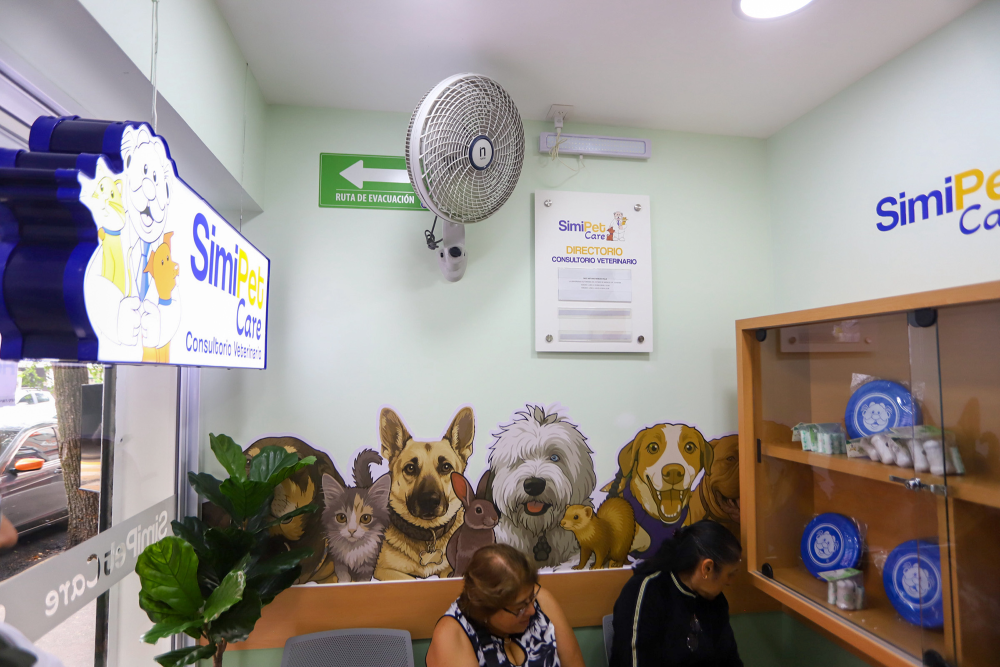 ¡Atención para mascotas a precios accesibles! Inauguran primera clínica ...