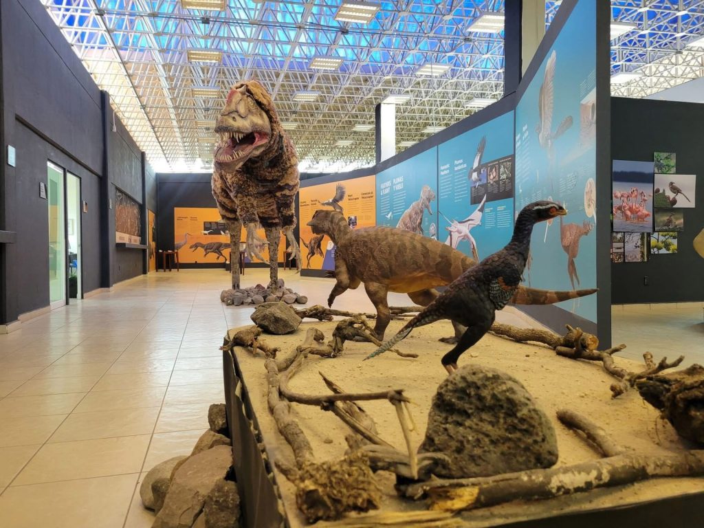 “Dinosaurios entre nosotros”: la exposición que revela secretos ...
