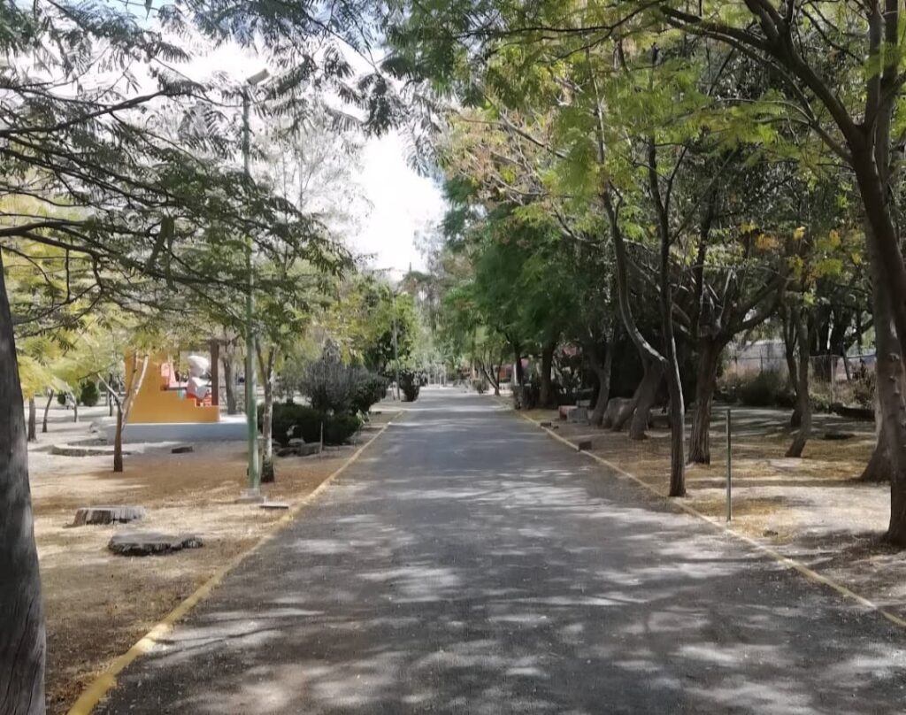 Aún desconocen cuántos árboles retirarán en el Parque Alcanfores para ...