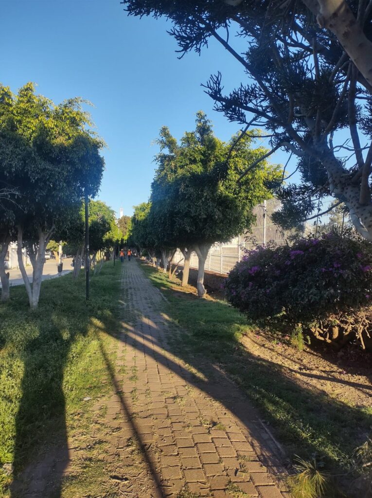 Alcanfores sería declarado Área Protegida para mitigar impacto del tren ...