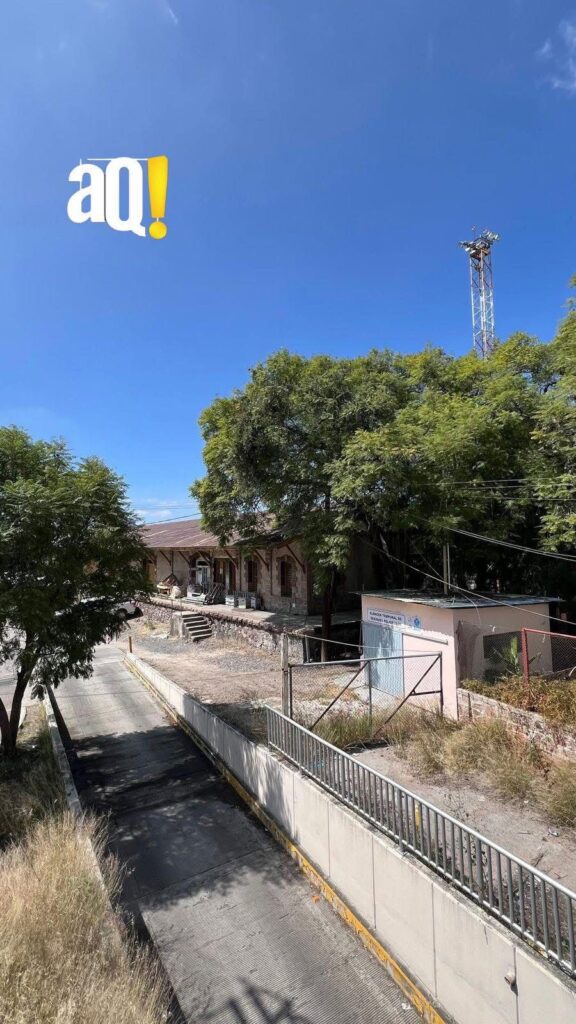 Alistan consulta para decretar el parque de Los Alcanfores como área ...