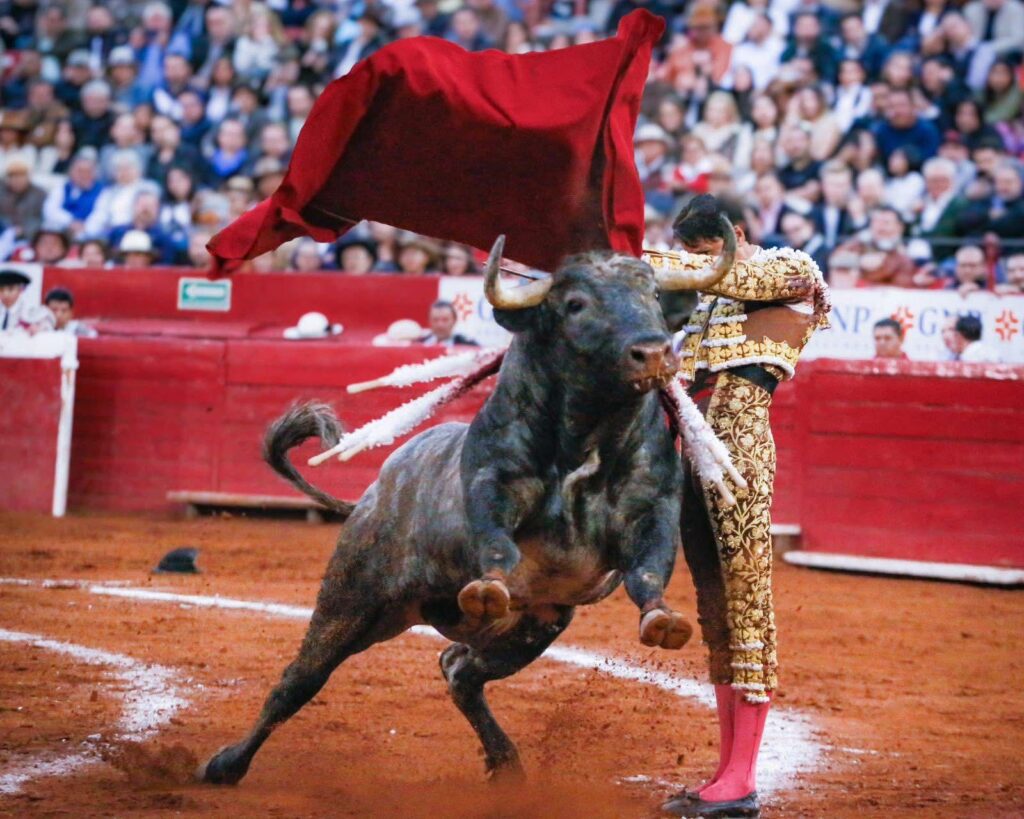 Las corridas de toros en Querétaro están en manos del Congreso y ...