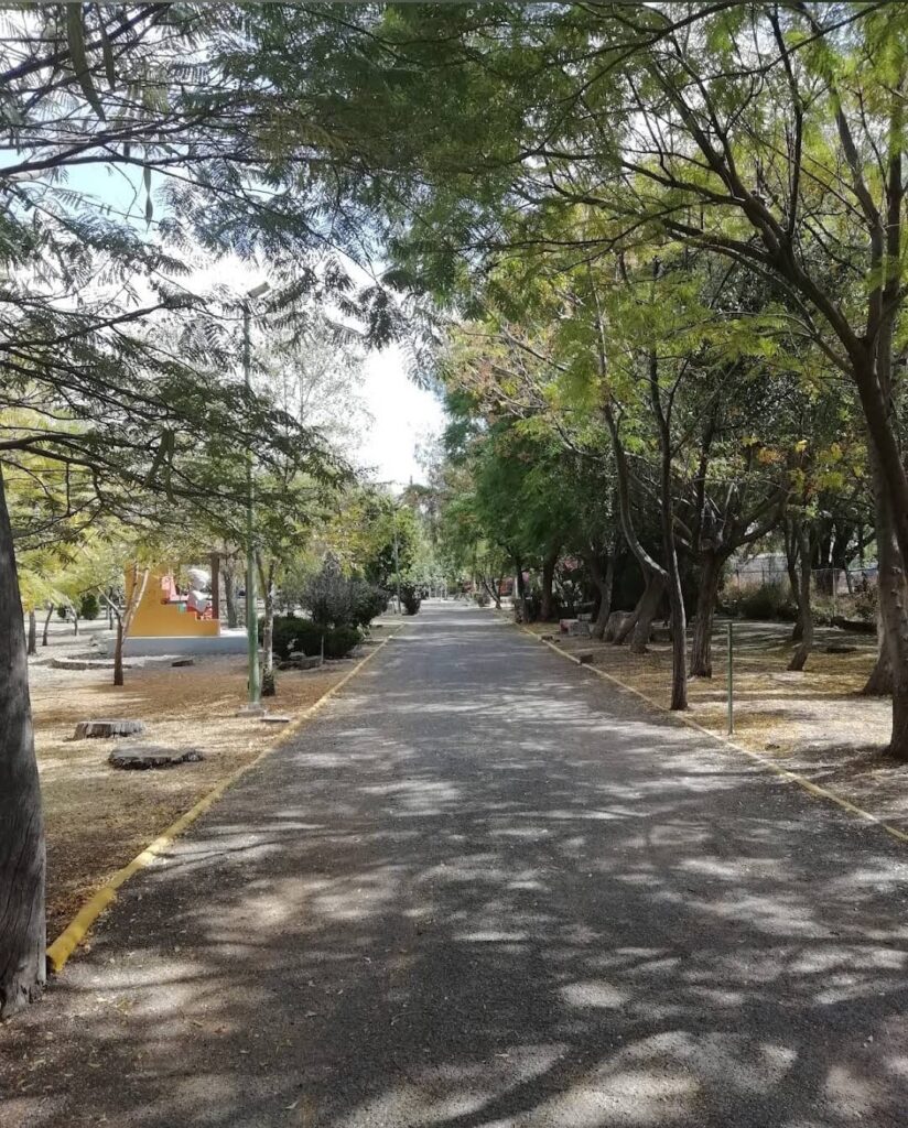 Decreto de Los Alcanfores no abarca todo el parque, precisa Desarrollo ...